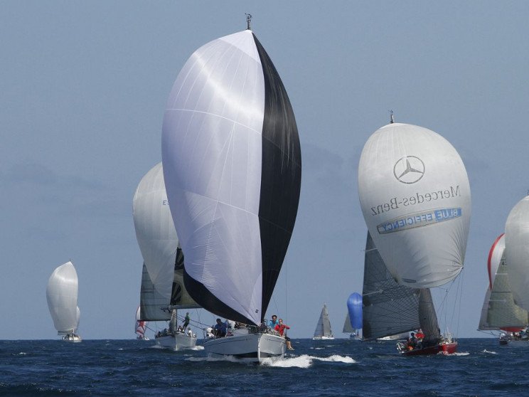The language of the flags in a regatta